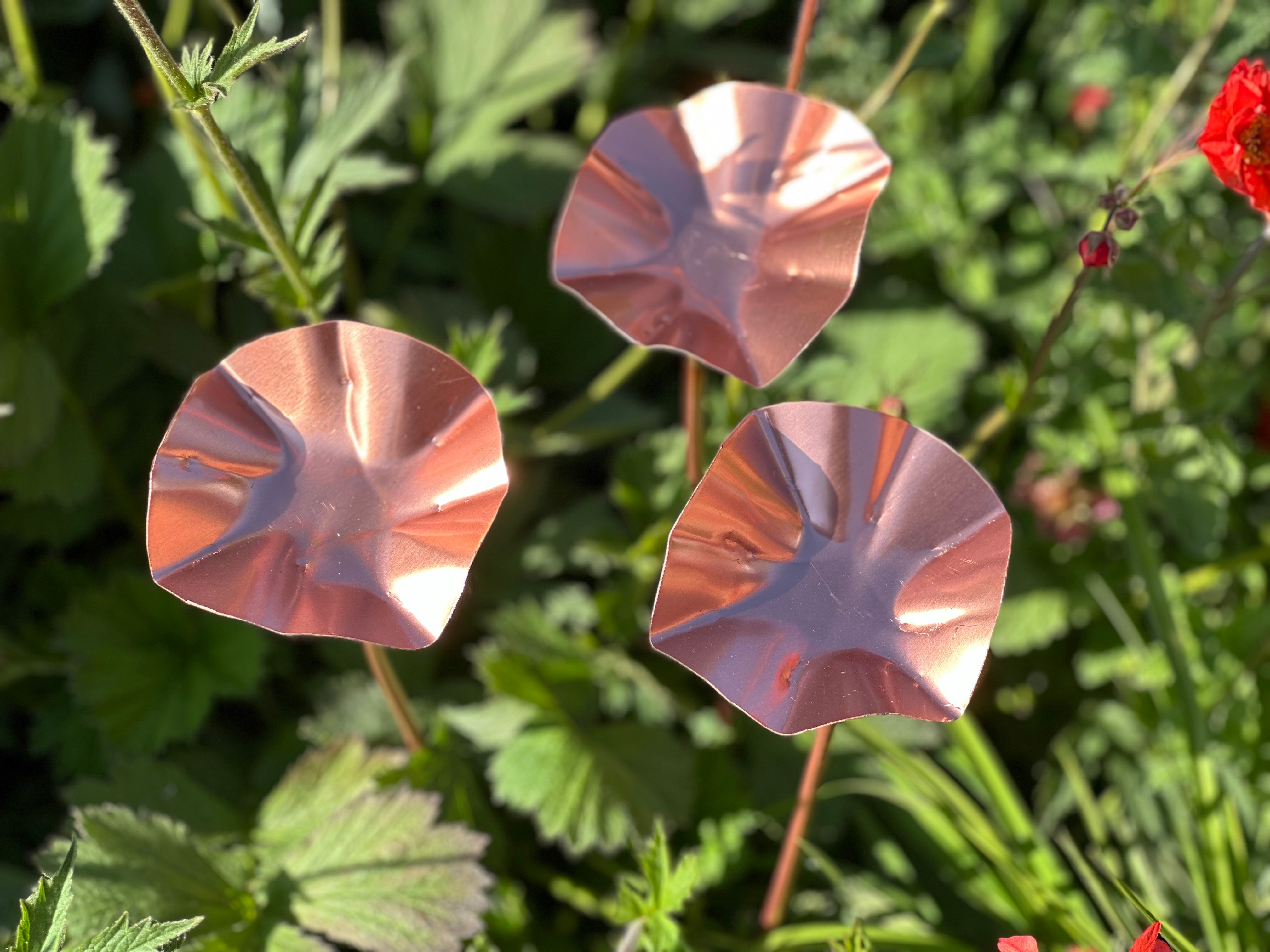 How to Use Copper and Green Bee Drinkers