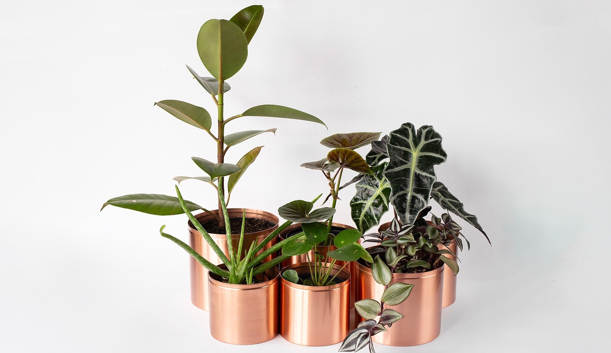 Quality Hand Made Copper Products for Gardeners and Designers – Copper ...