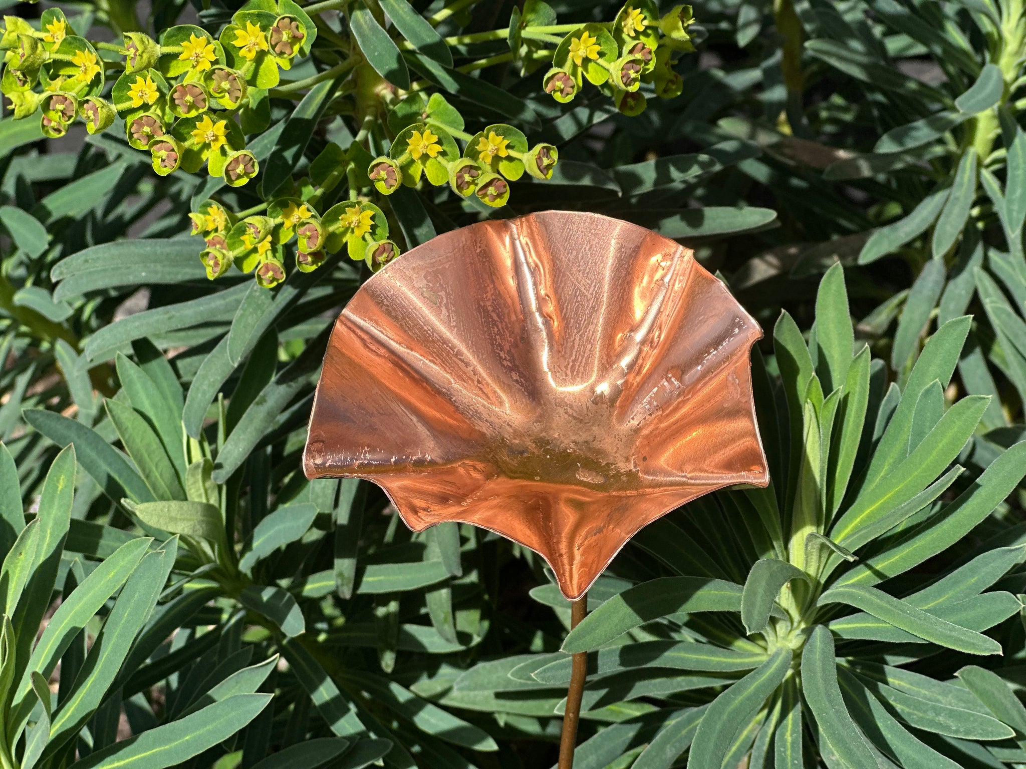 Copper Bee Drinker – Copper and Green