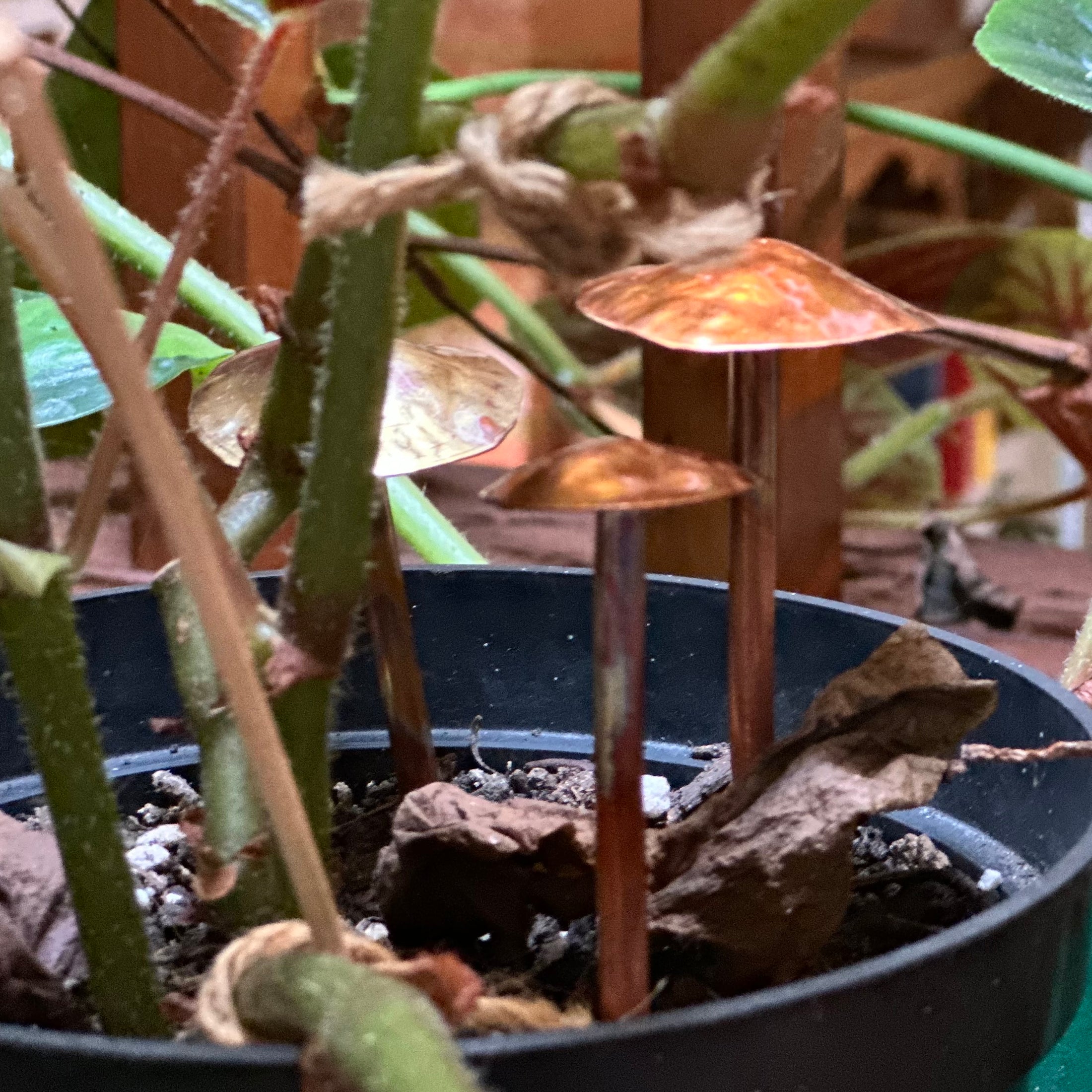 Quality Hand Made Copper Products for Gardeners and Designers – Copper ...