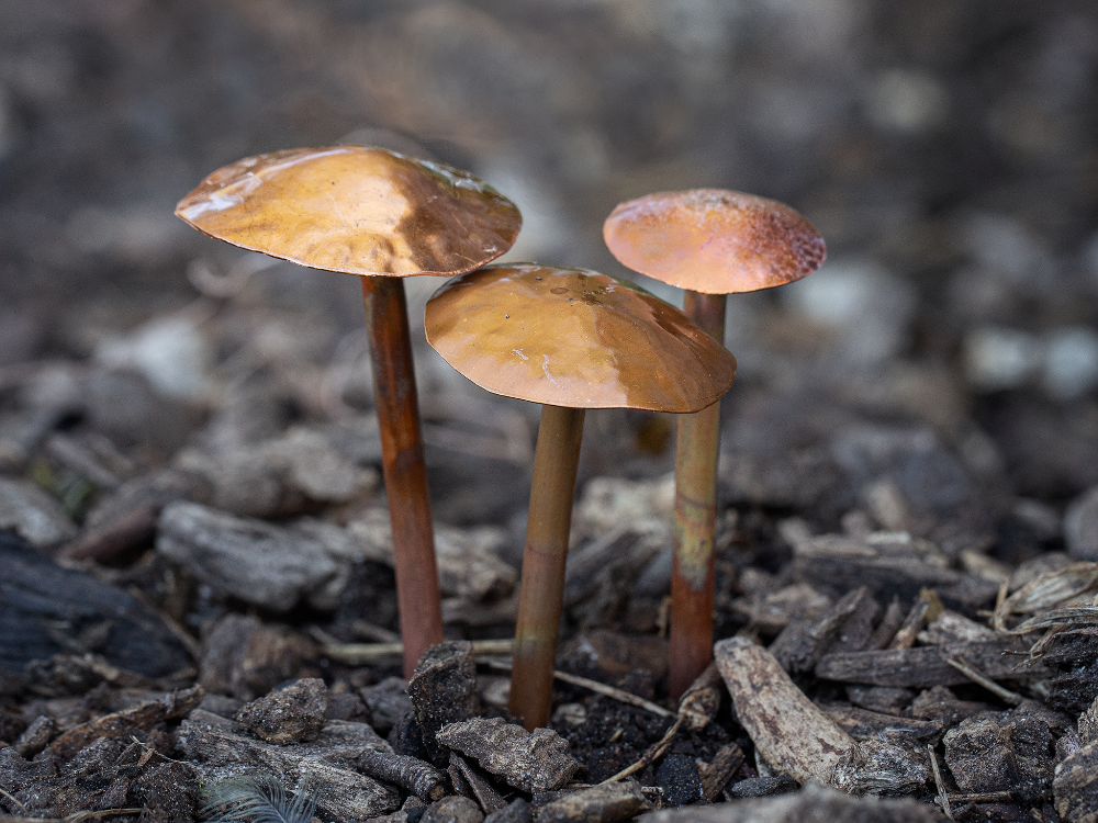 Quality Hand Made Copper Products for Gardeners and Designers – Copper ...